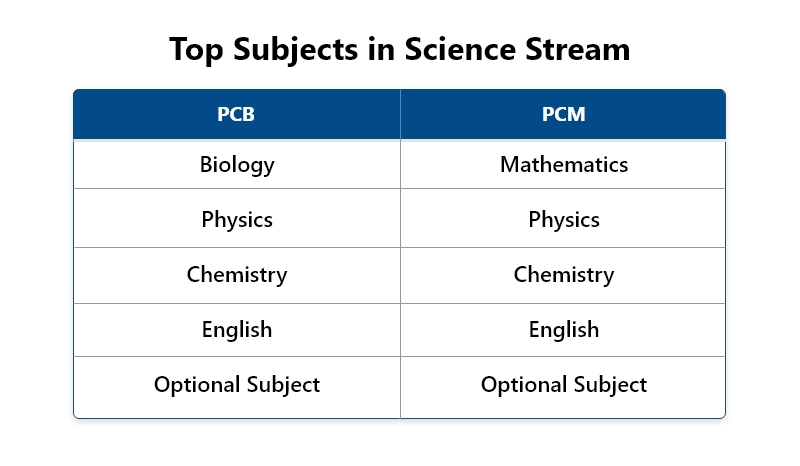 How To Choose The Right Subjects For Class 11 Major Points For 